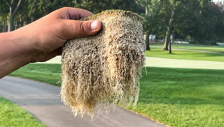 About | Profile Golf